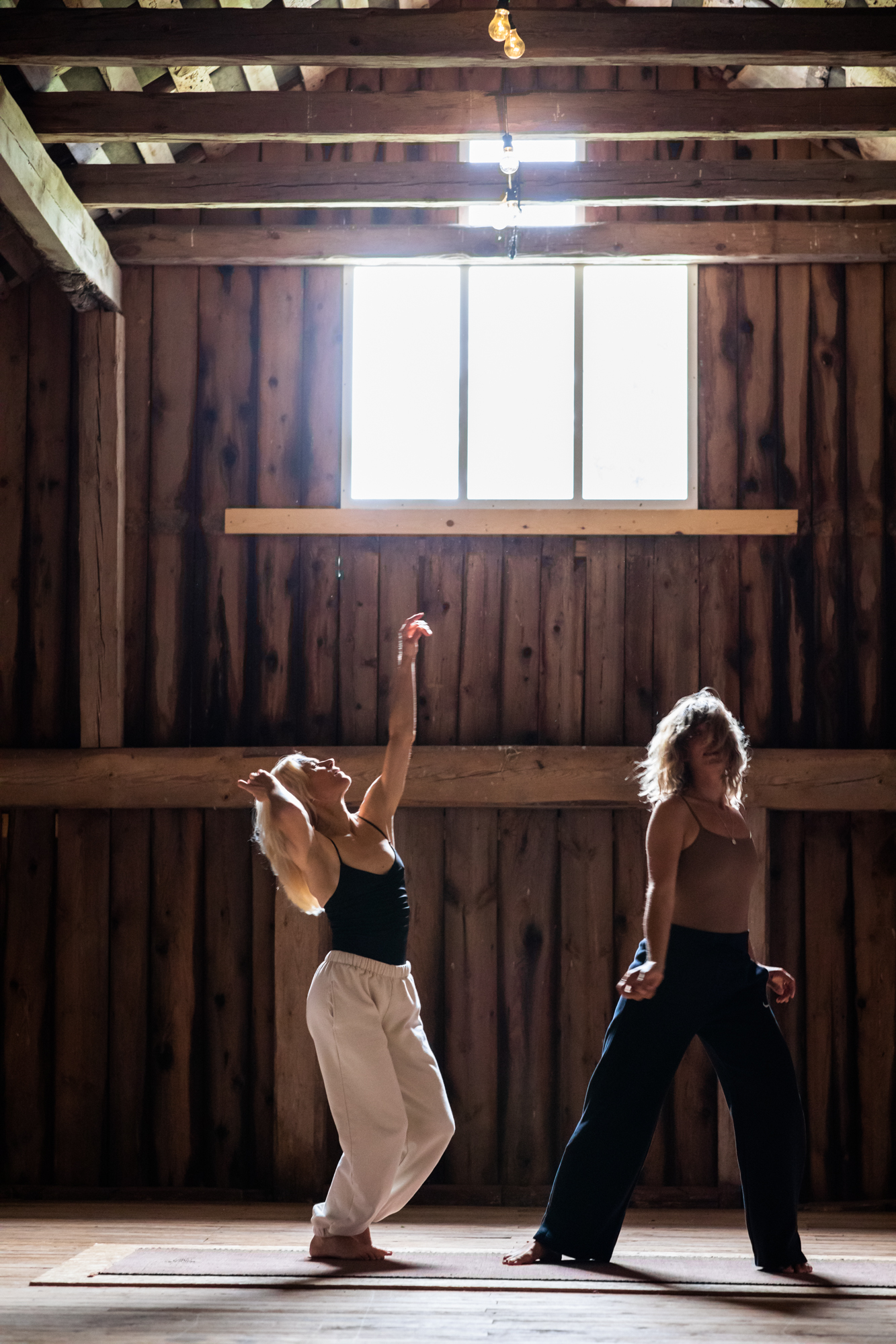 Holistic Revolution Studio - Holistic Training